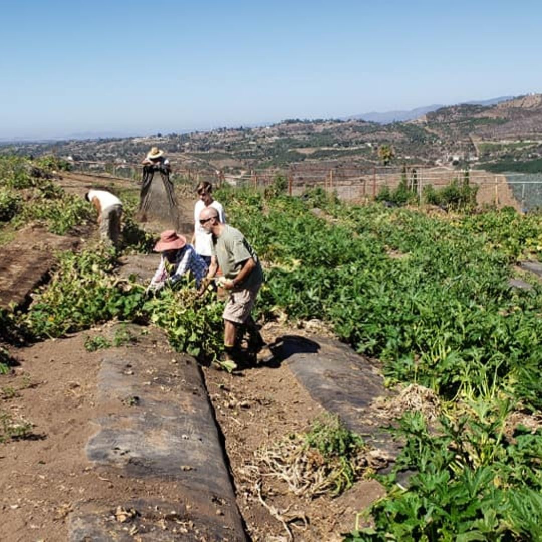 Outreach Farm Project